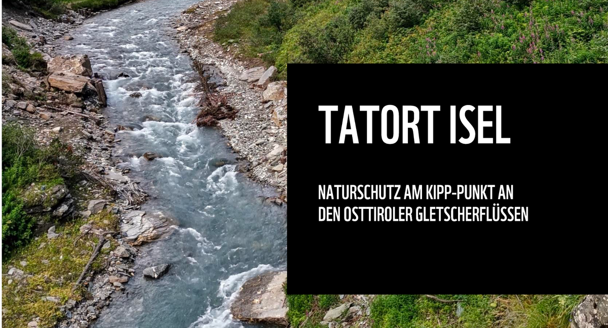 Neuer Report des WWF zur Situation an der Isel — Iselriverstore